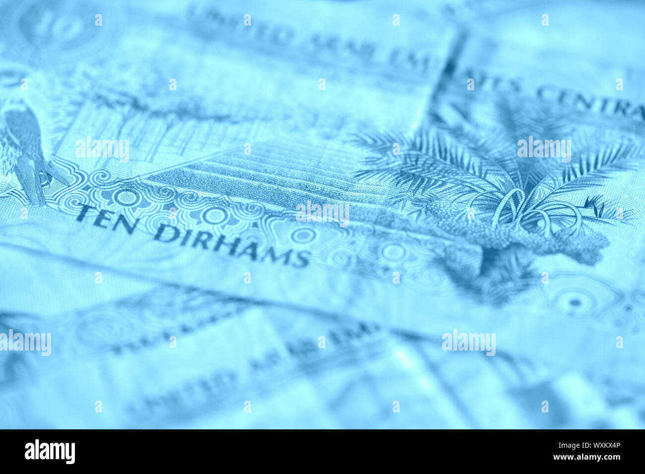 United arab emirates banknote hi-res stock photography and images - Alamy