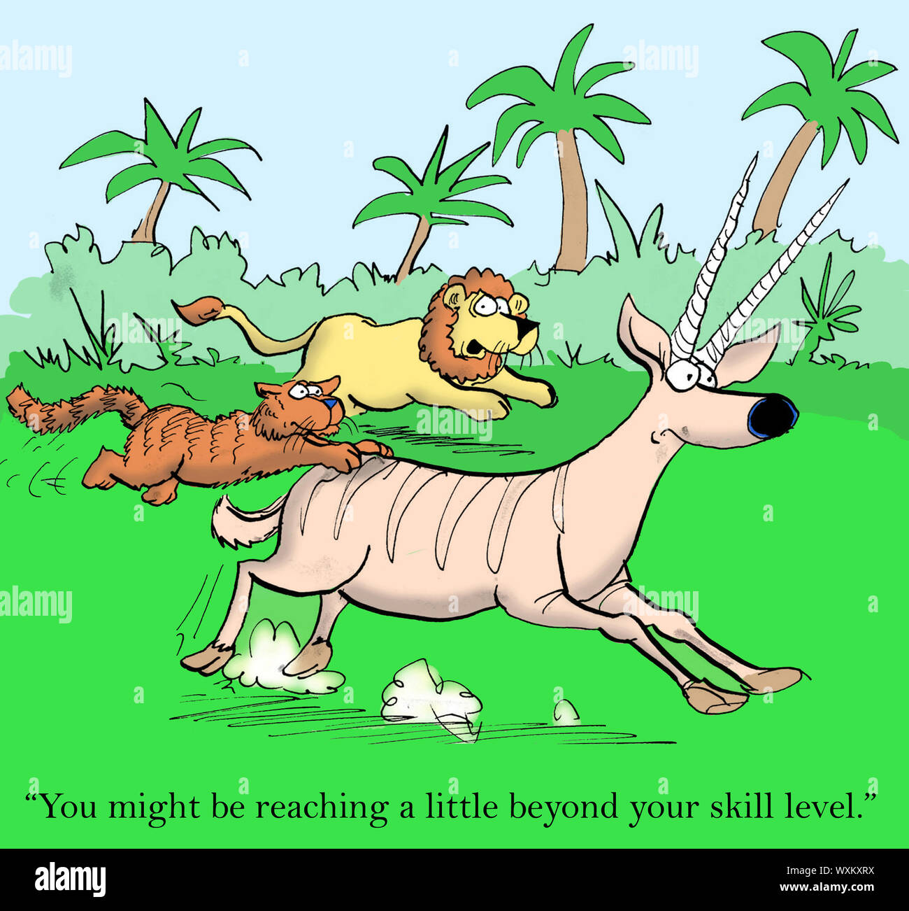 "You might be reaching a little beyond your skill level Stock Photo - Alamy