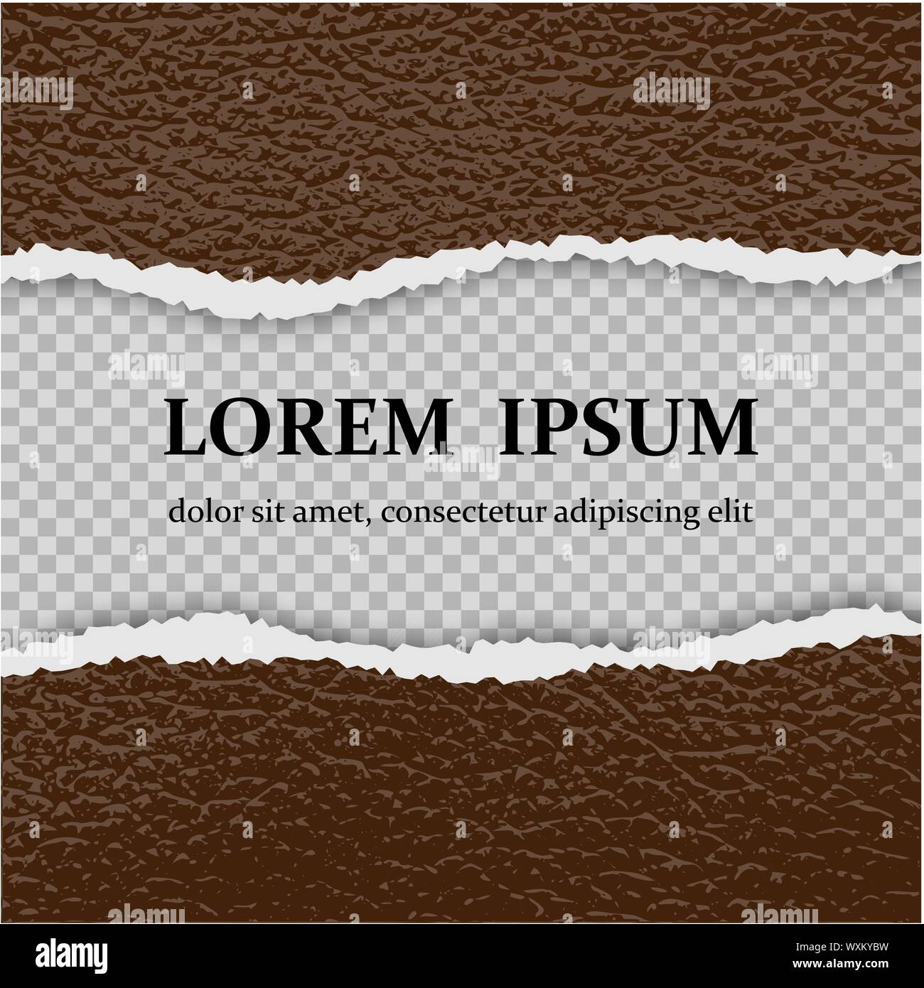 Torn Paper Texture Vector