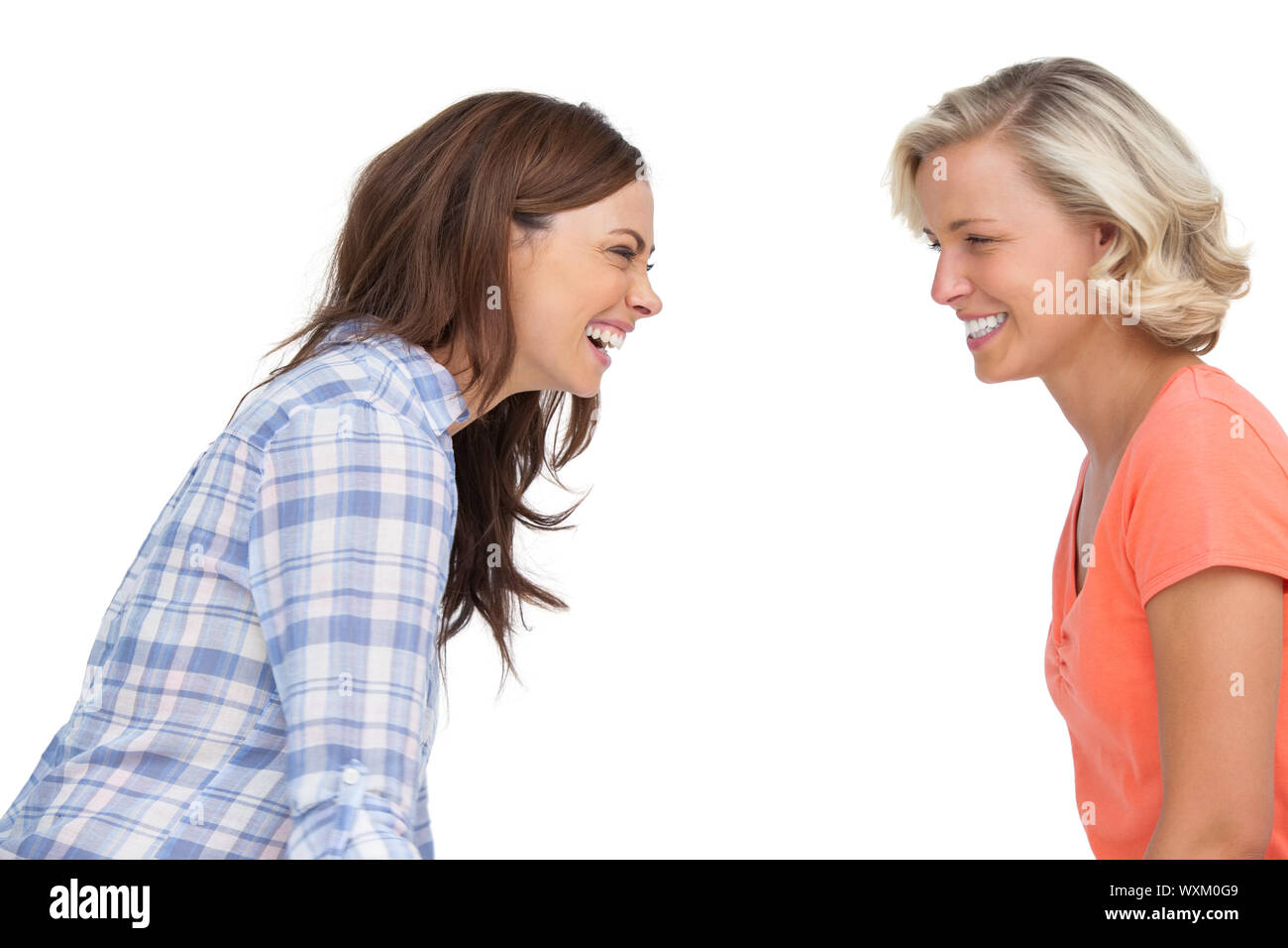 Two friends laughing together on white background Stock Photo - Alamy