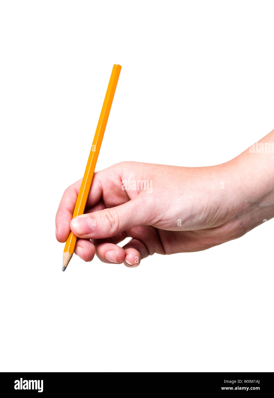 Hand holding a pencil isolated on white background Stock Photo - Alamy