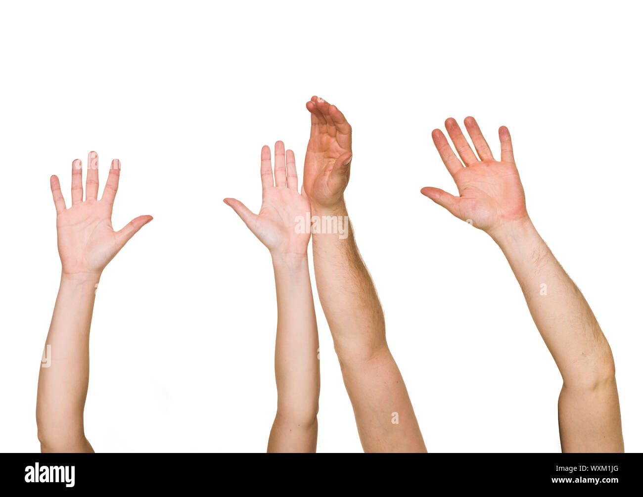 Raised Hands isolated on white background Stock Photo - Alamy