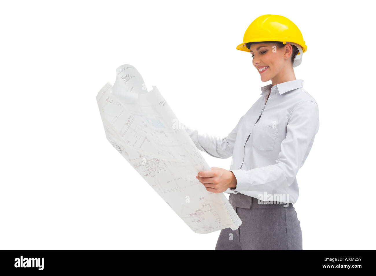 Architect reading a plan with yellow helmet on white background Stock ...