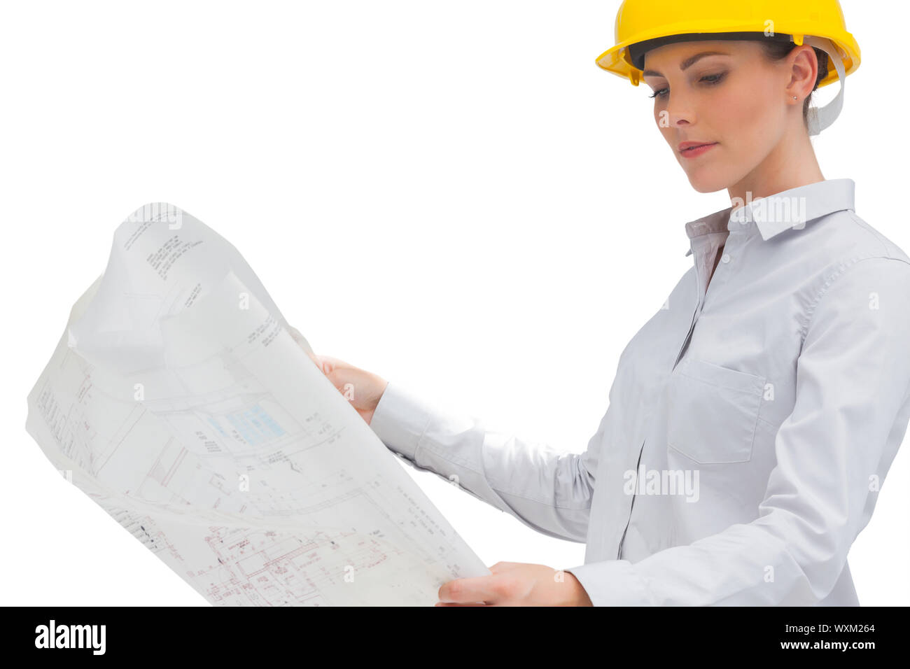 Architect looking at blueprint on white background Stock Photo - Alamy