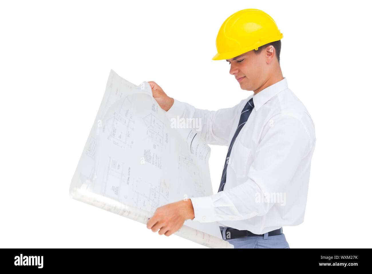 Architect reading a plan on white background Stock Photo - Alamy