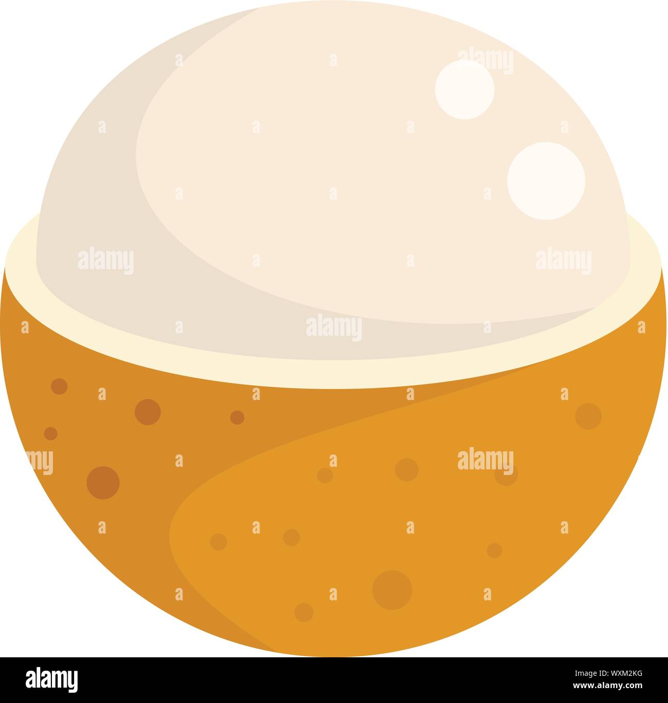 Eco longan icon. Flat illustration of eco longan vector icon for web ...
