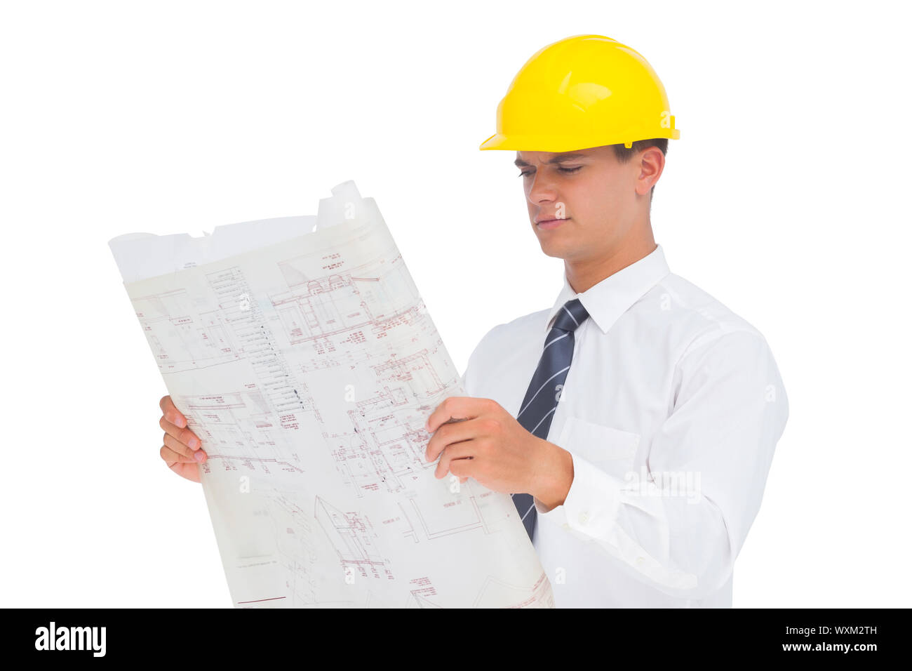 Focused architect reading a plan on white background Stock Photo - Alamy