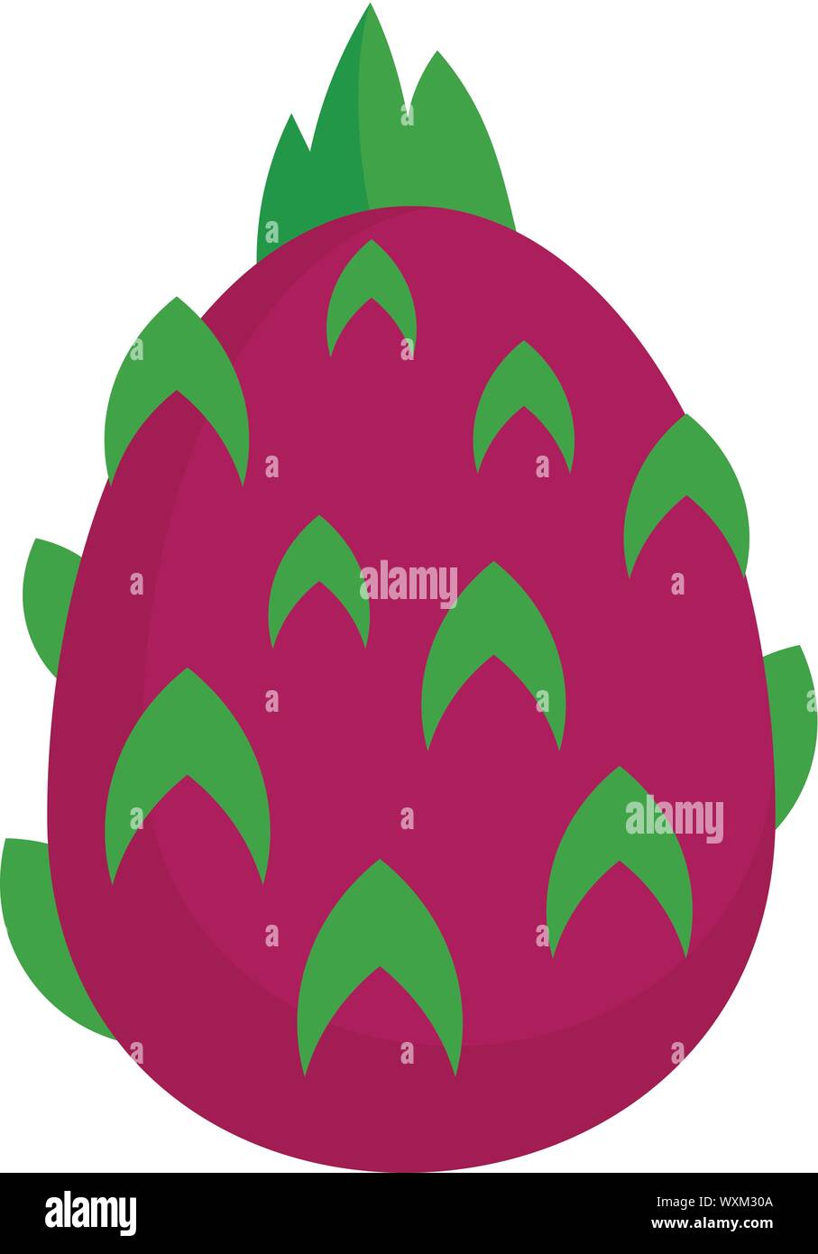 Pitaya fruit icon. Flat illustration of pitaya fruit vector icon for ...