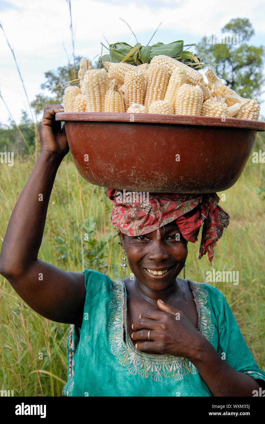 Zwischenfruechte hi-res stock photography and images - Alamy