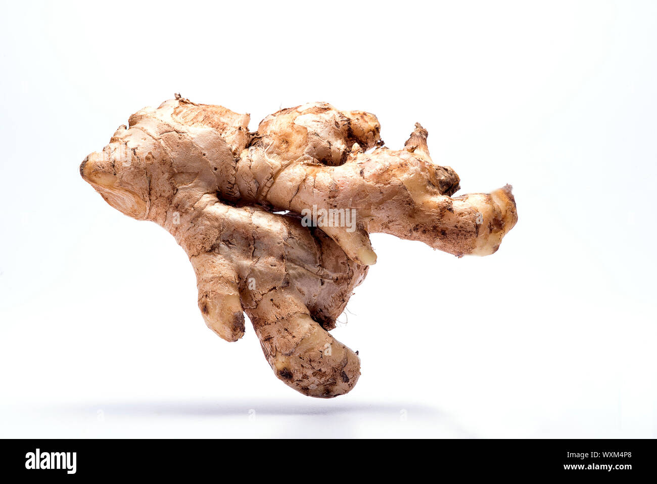 Closeup of ginger bulb isolated in white background Stock Photo - Alamy