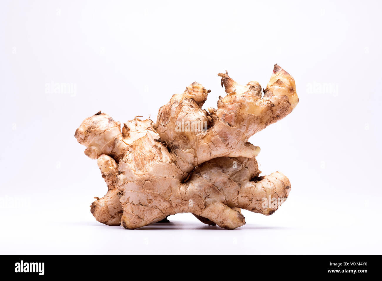 Closeup of ginger bulb isolated in white background Stock Photo - Alamy