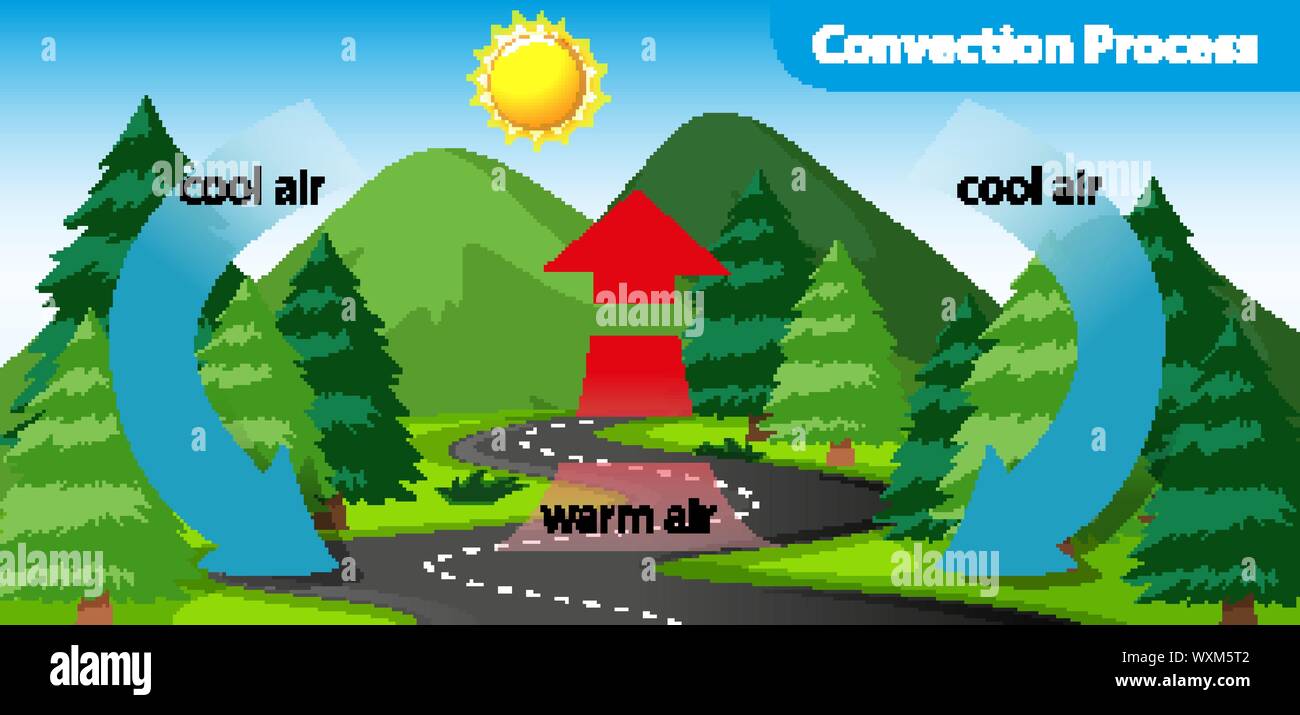 Diagram showing the convection process illustration Stock Vector Image ...