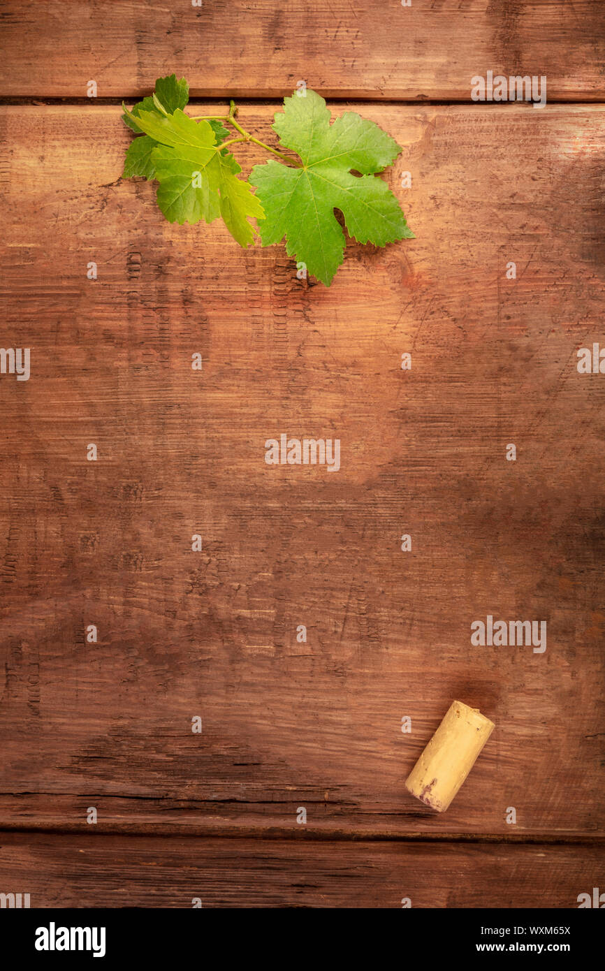 A design template for a wine menu or tasting invitation. A vine leaf ...