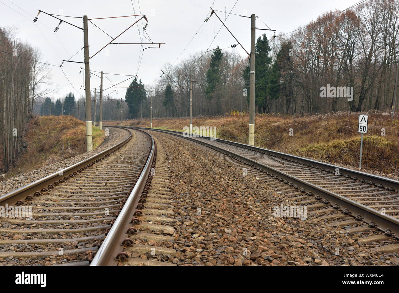 Railroad in the forest, Lithuania Stock Photo - Alamy