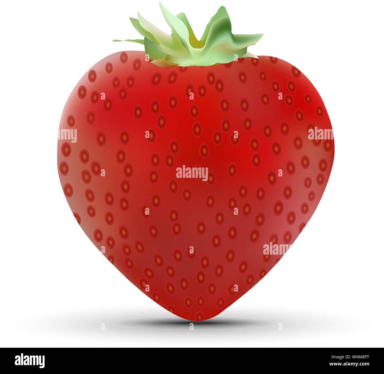 realistic strawberry isolated on white background. Vector illustration ...