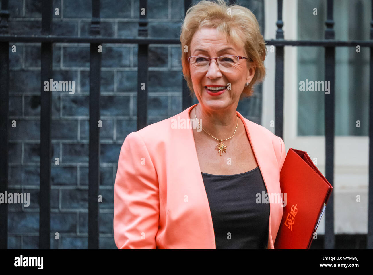Energy and industrial strategy secretary andrea leadsom leaving downing ...