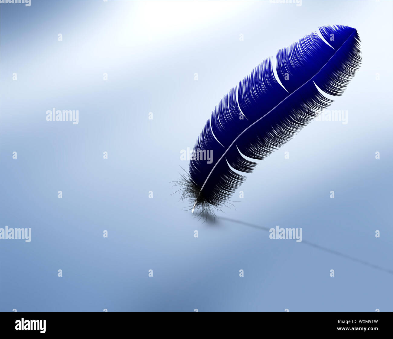 Feather only hi-res stock photography and images - Alamy