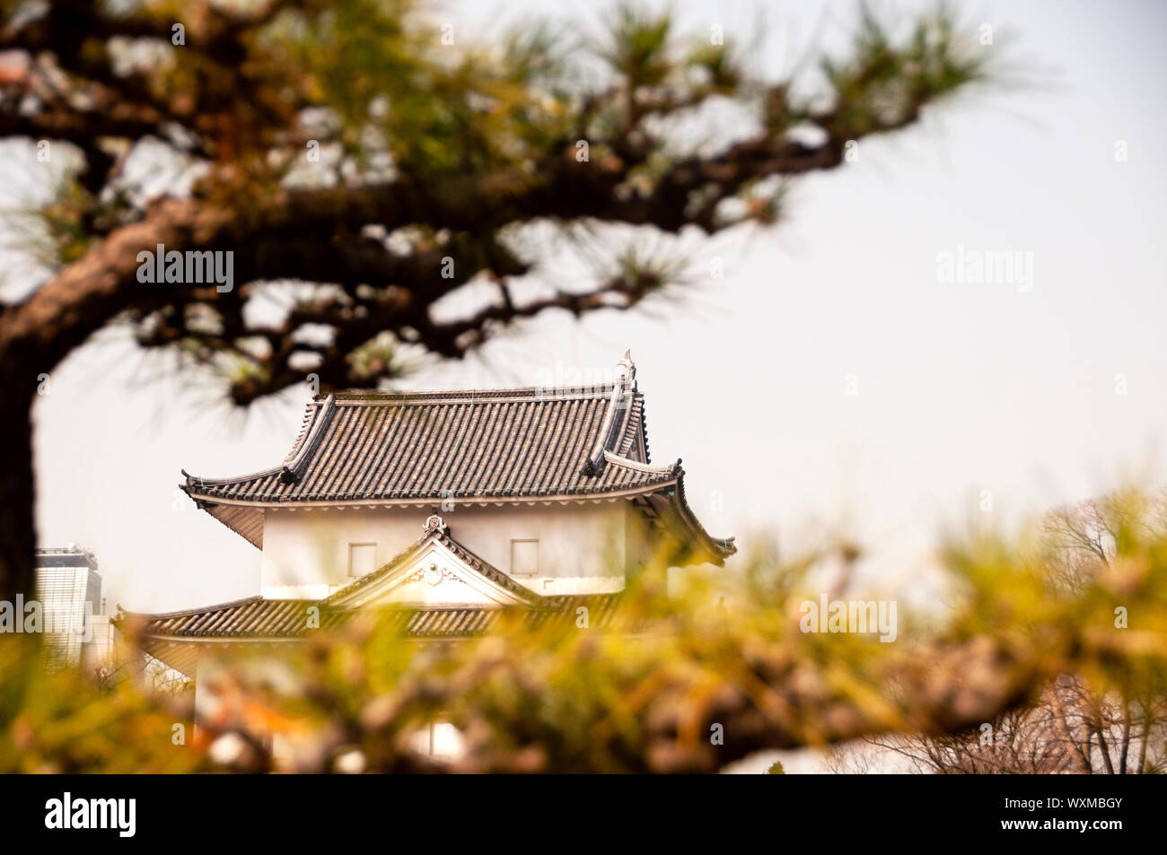 Curved roofline hi-res stock photography and images - Alamy