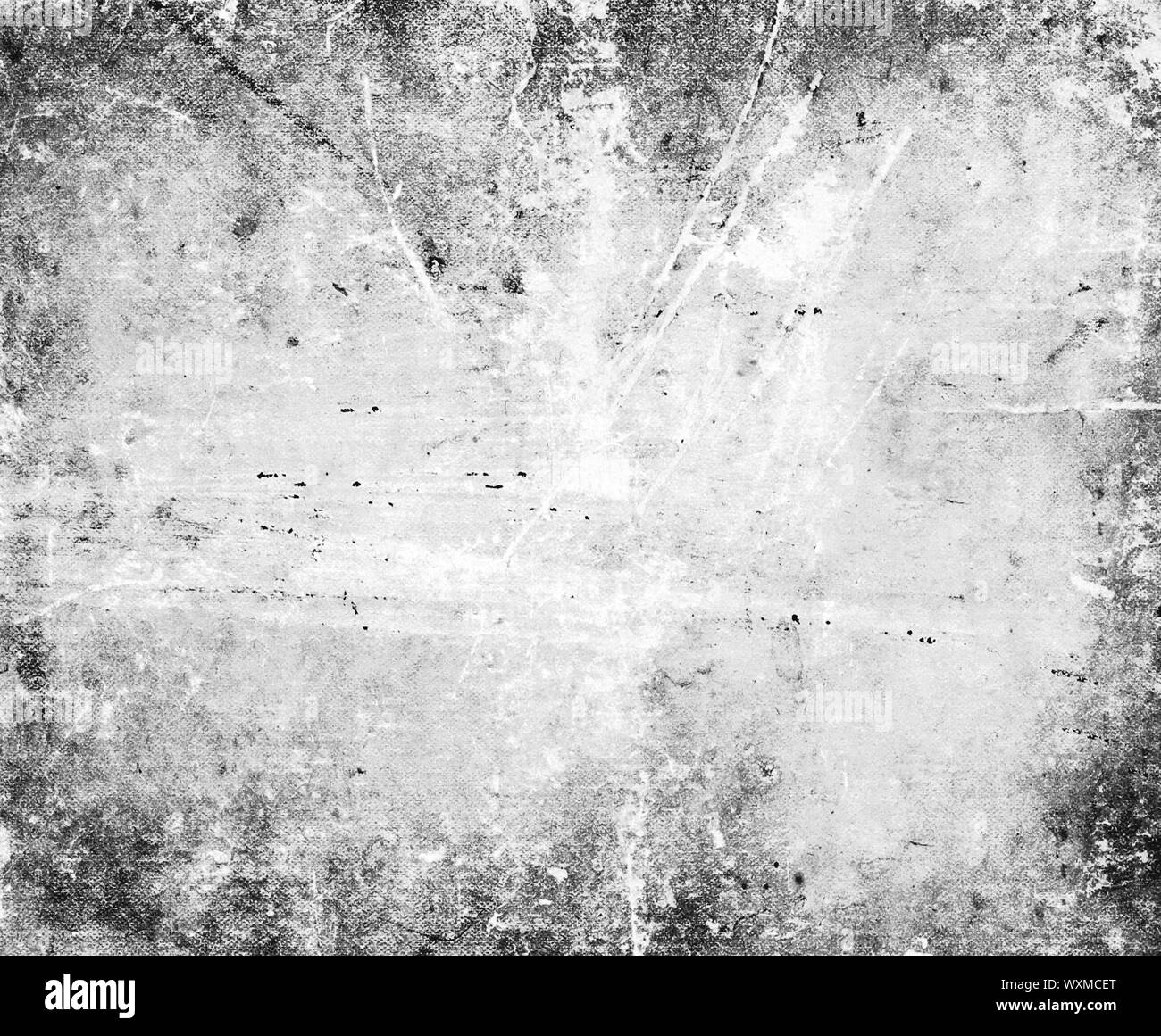 Green sunny park flowers Black and White Stock Photos & Images - Alamy