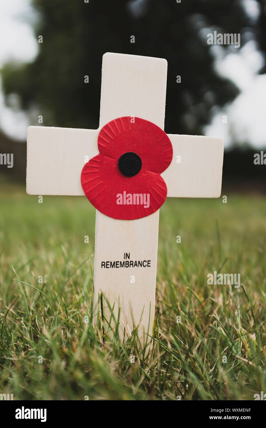 In remembrance crosses hi-res stock photography and images - Alamy
