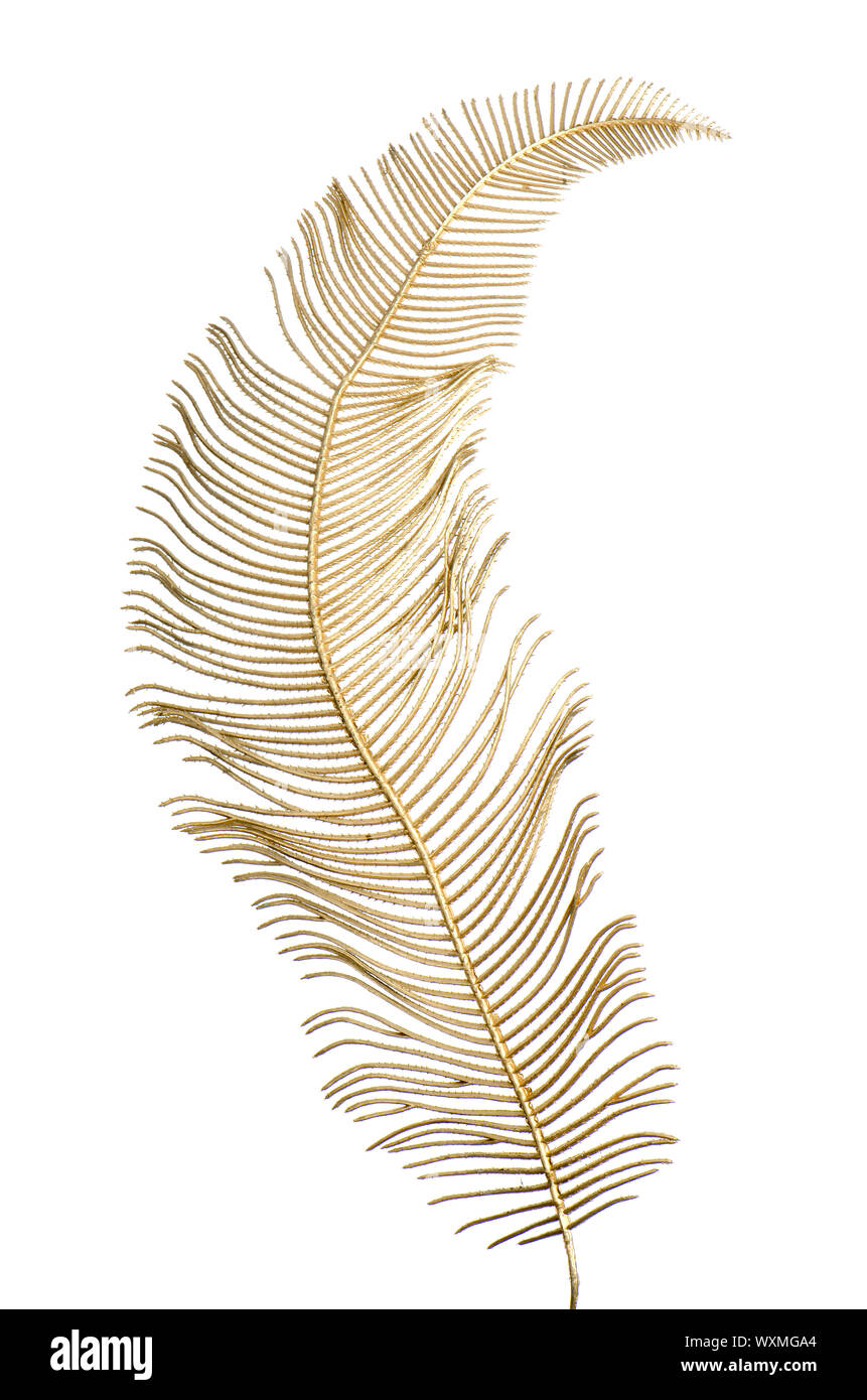 Christmas decorative golden feather isolated on white background Stock ...