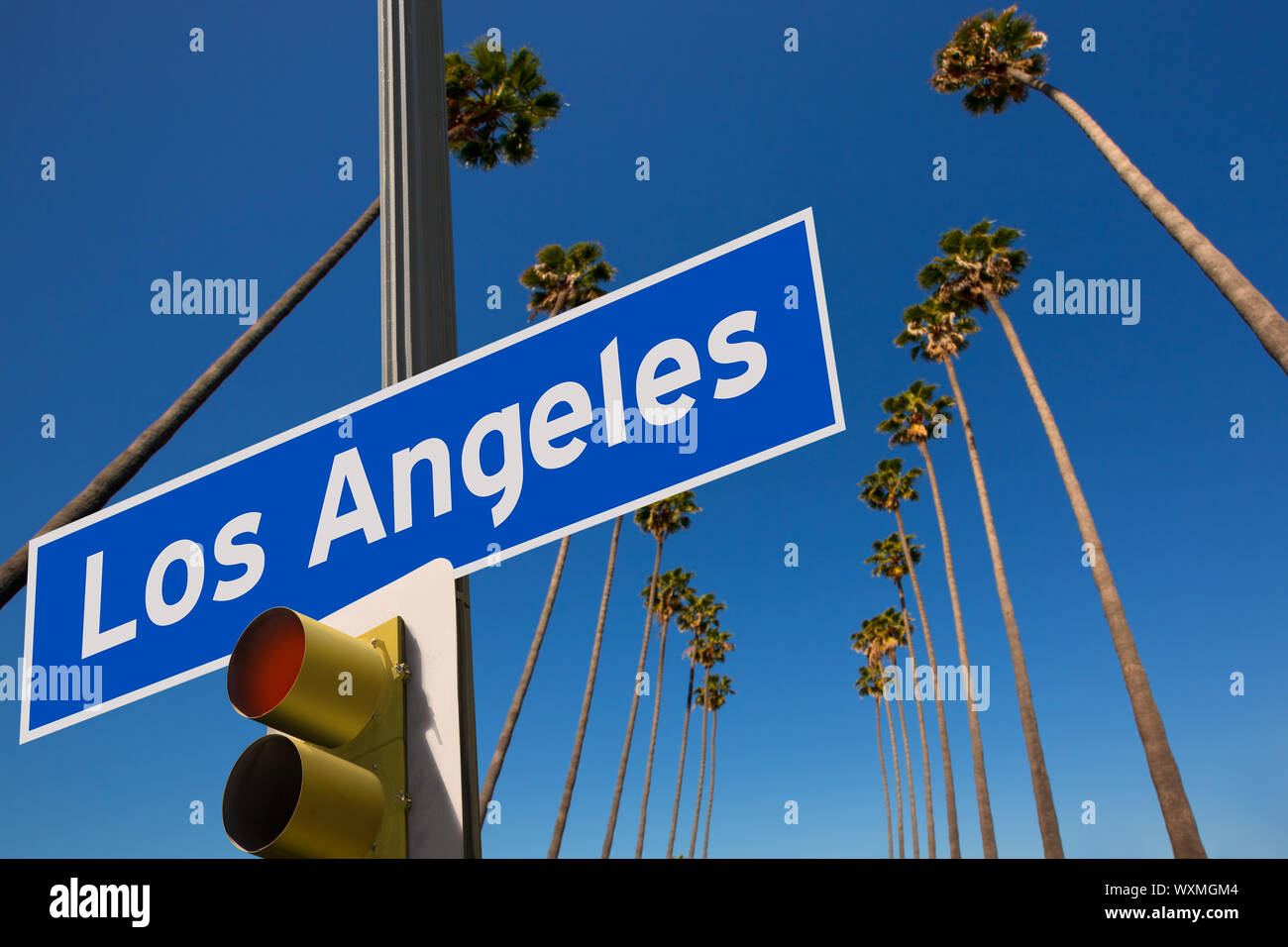 LA Los Angeles palm trees in a row typical California with road sign ...