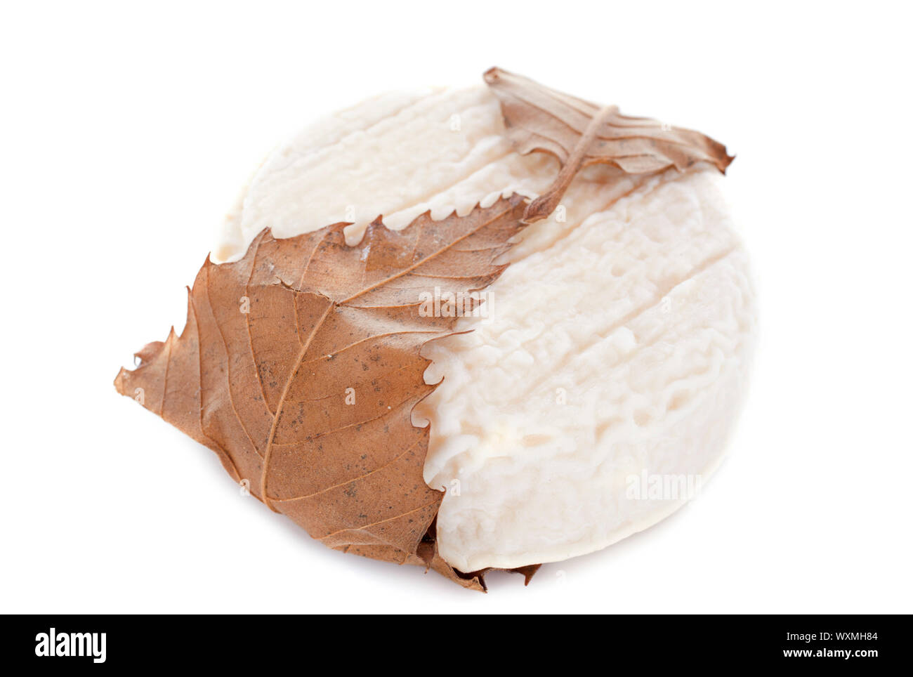 Banon cheese in front of white background Stock Photo - Alamy