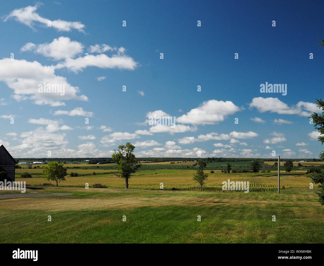 Blue sky, beautiful clouds, colorful farm fields, trees and barn ...