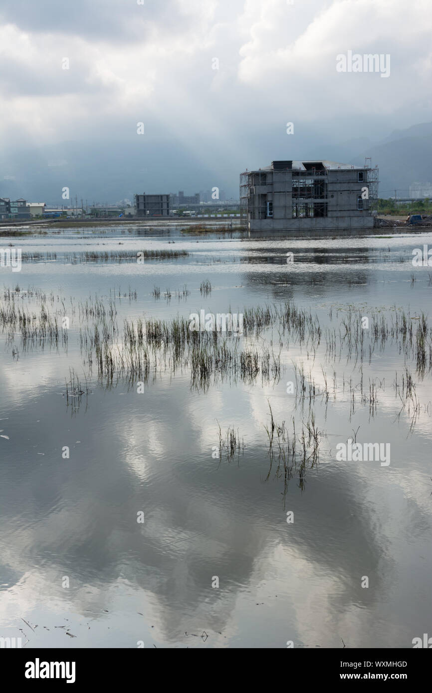 Landscape with a swamp, shot at Yilan county, Taiwan, Asia Stock Photo ...