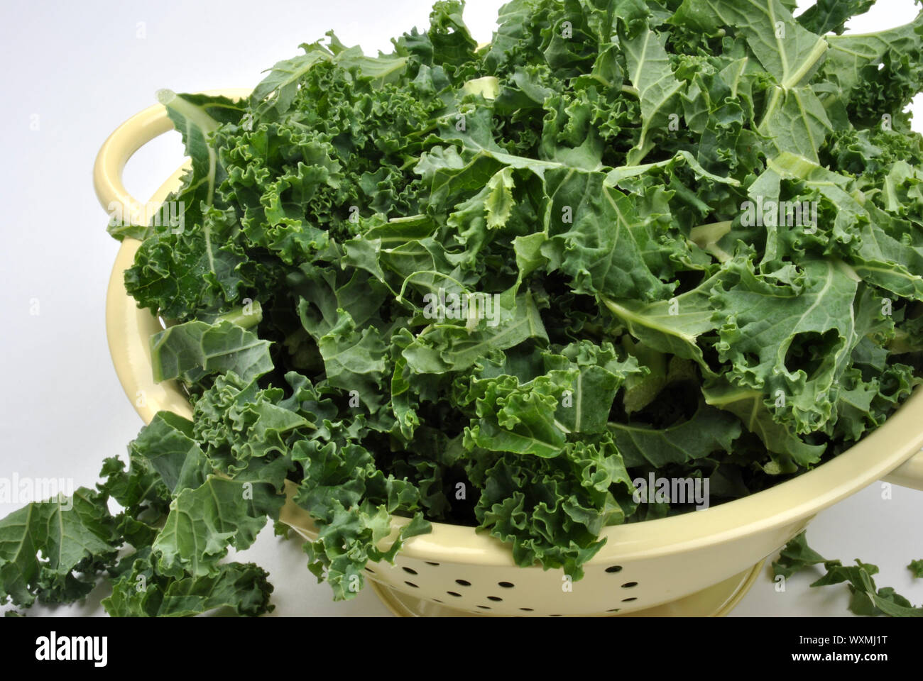 organic tender leaf curly kale washed and ready to cook Stock Photo - Alamy