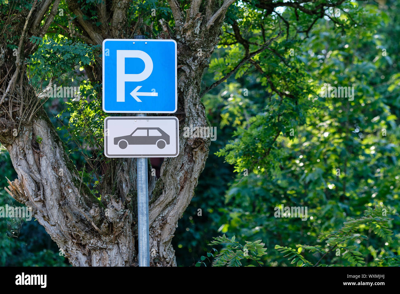 A sign for a parking spot for cars on a pole in front of a beautiful ...