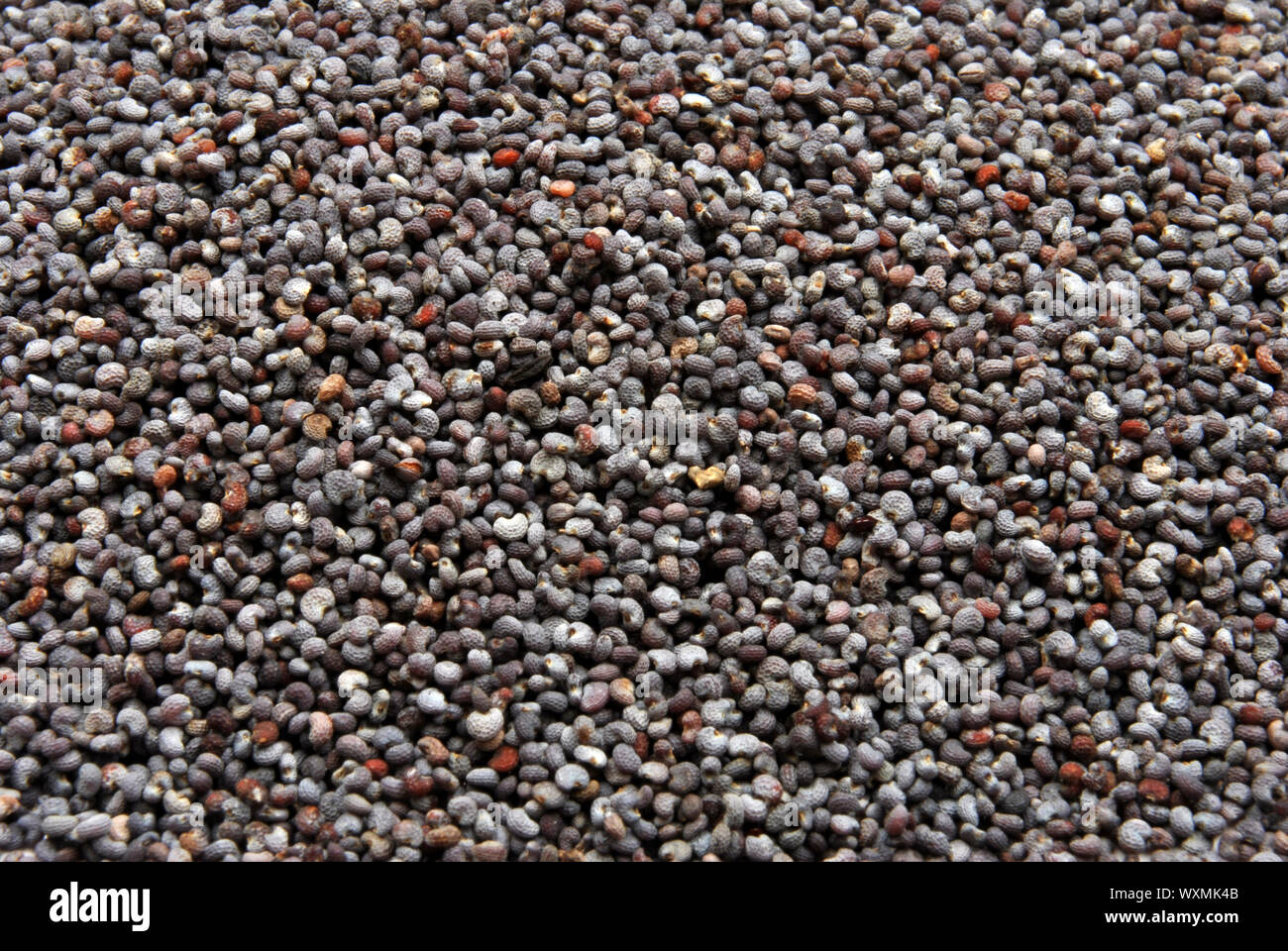 some organic poppy to use as background Stock Photo - Alamy