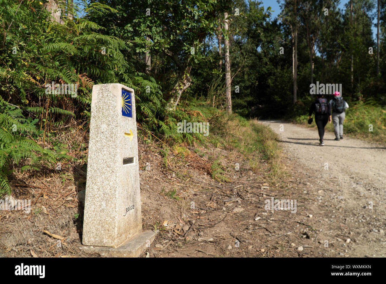 Way of St. James milestone and unfocused pilgrims at background. Yellow ...