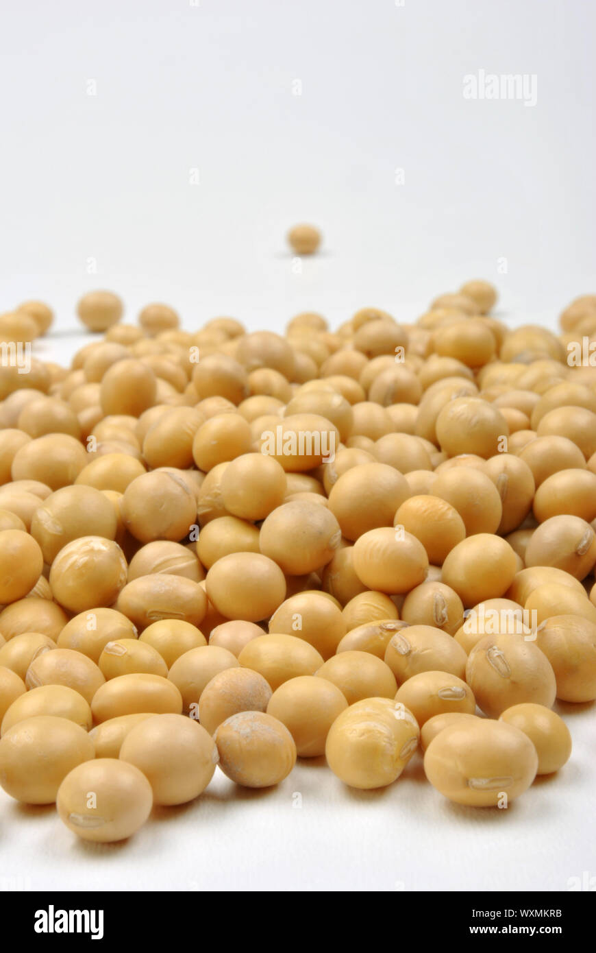 organic soya beans are a good alternative instead of meat Stock Photo ...