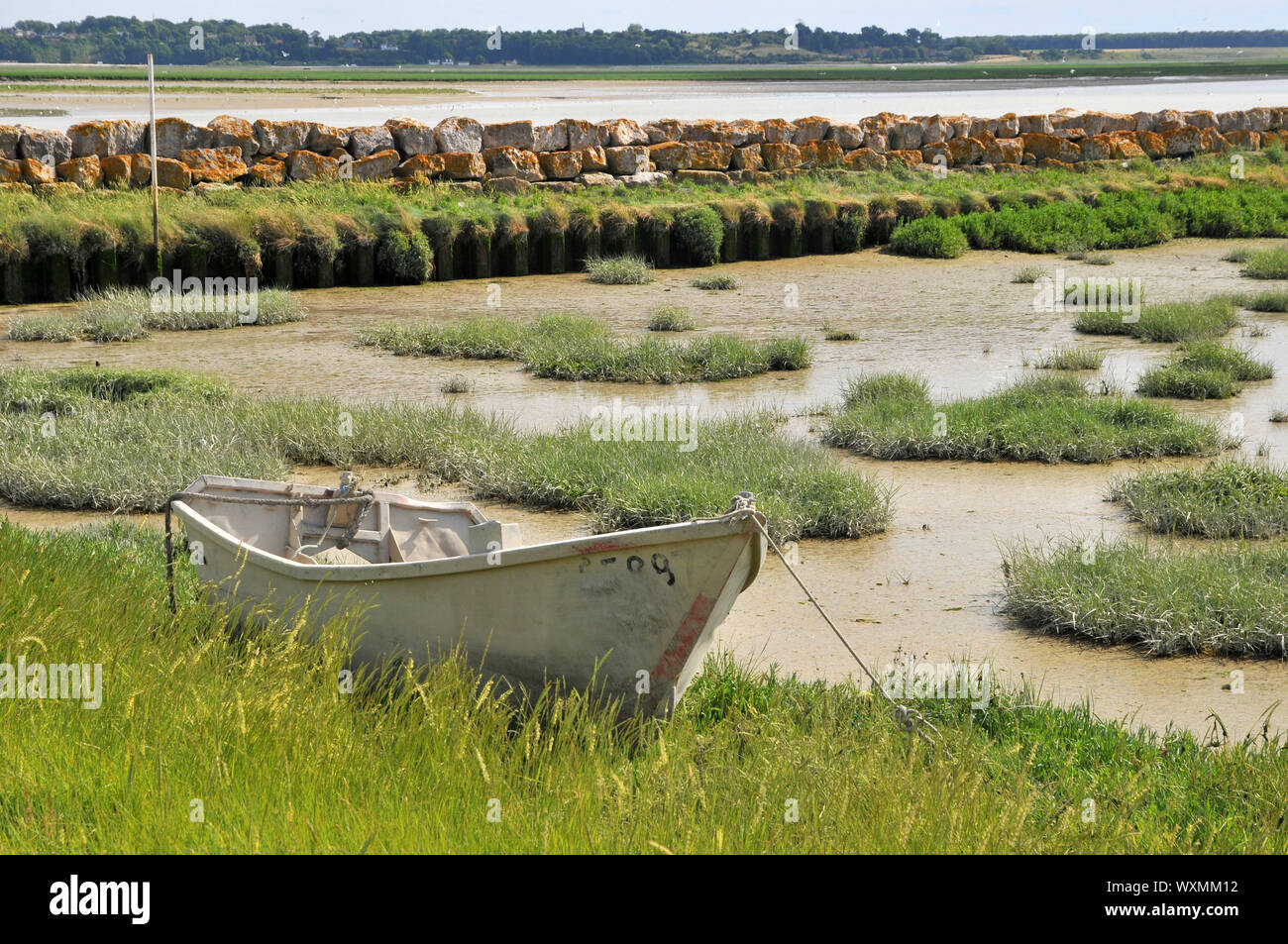 Little boat with ebb tide at the Normandy coast Stock Photo - Alamy