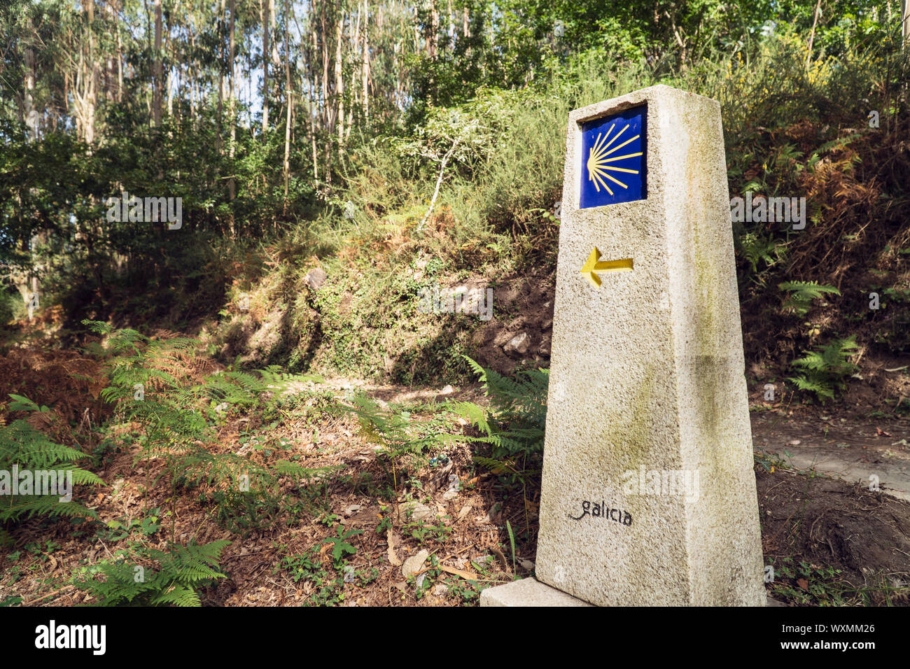 Pilgrimage pathway hi-res stock photography and images - Alamy