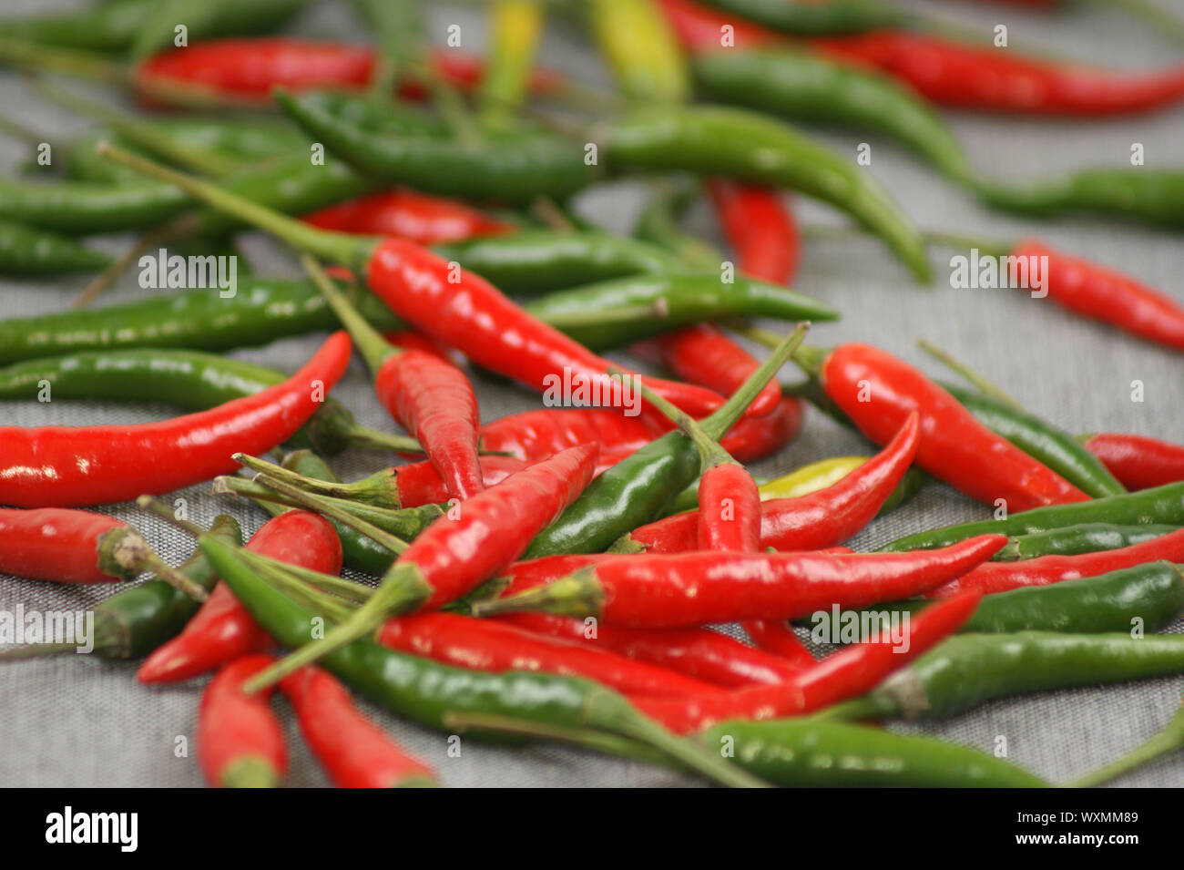 some green and red hot organic chili Stock Photo - Alamy