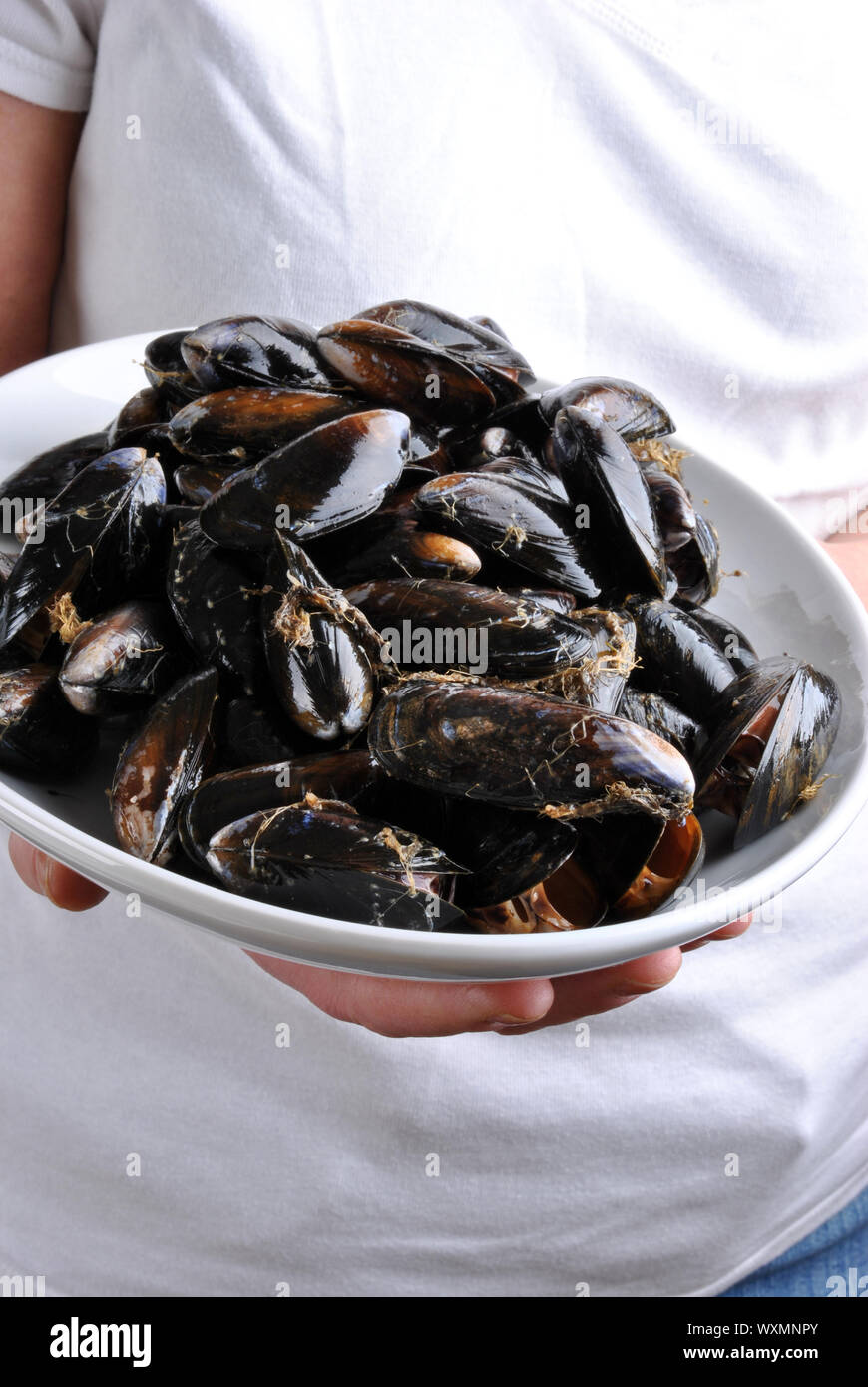 cooked and opened organic mussel ready to eat Stock Photo - Alamy