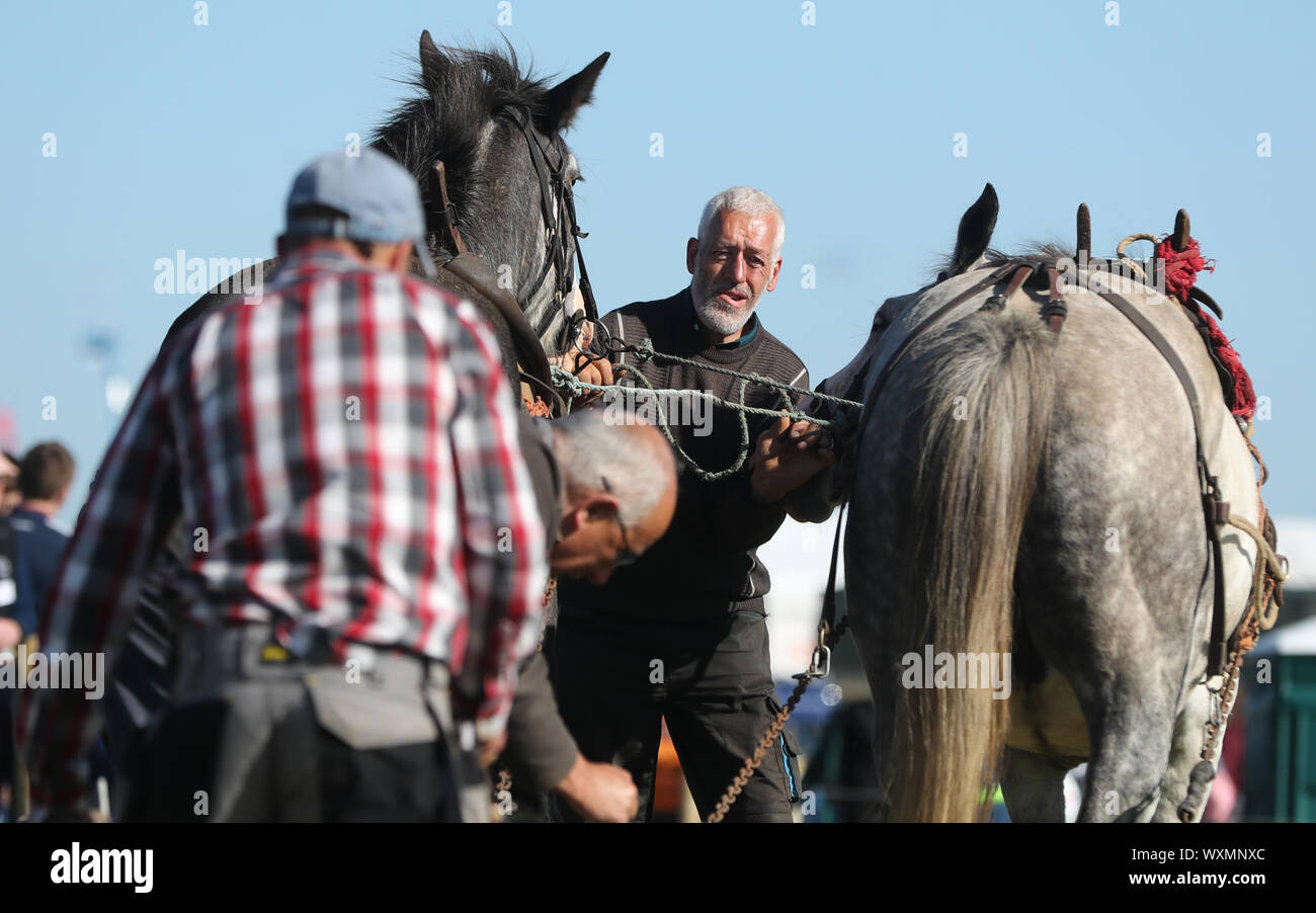 Stephen Payne, Edward Allen and Les Hanbridge from the Glen of Imaal in ...