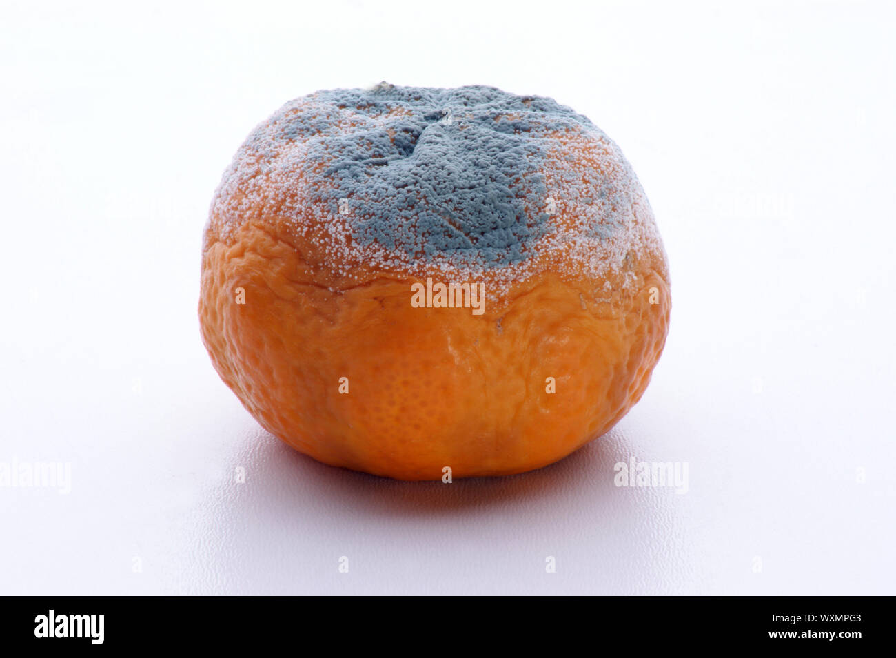 mandarin mouldy organic fruit unhealthy to eat Stock Photo - Alamy