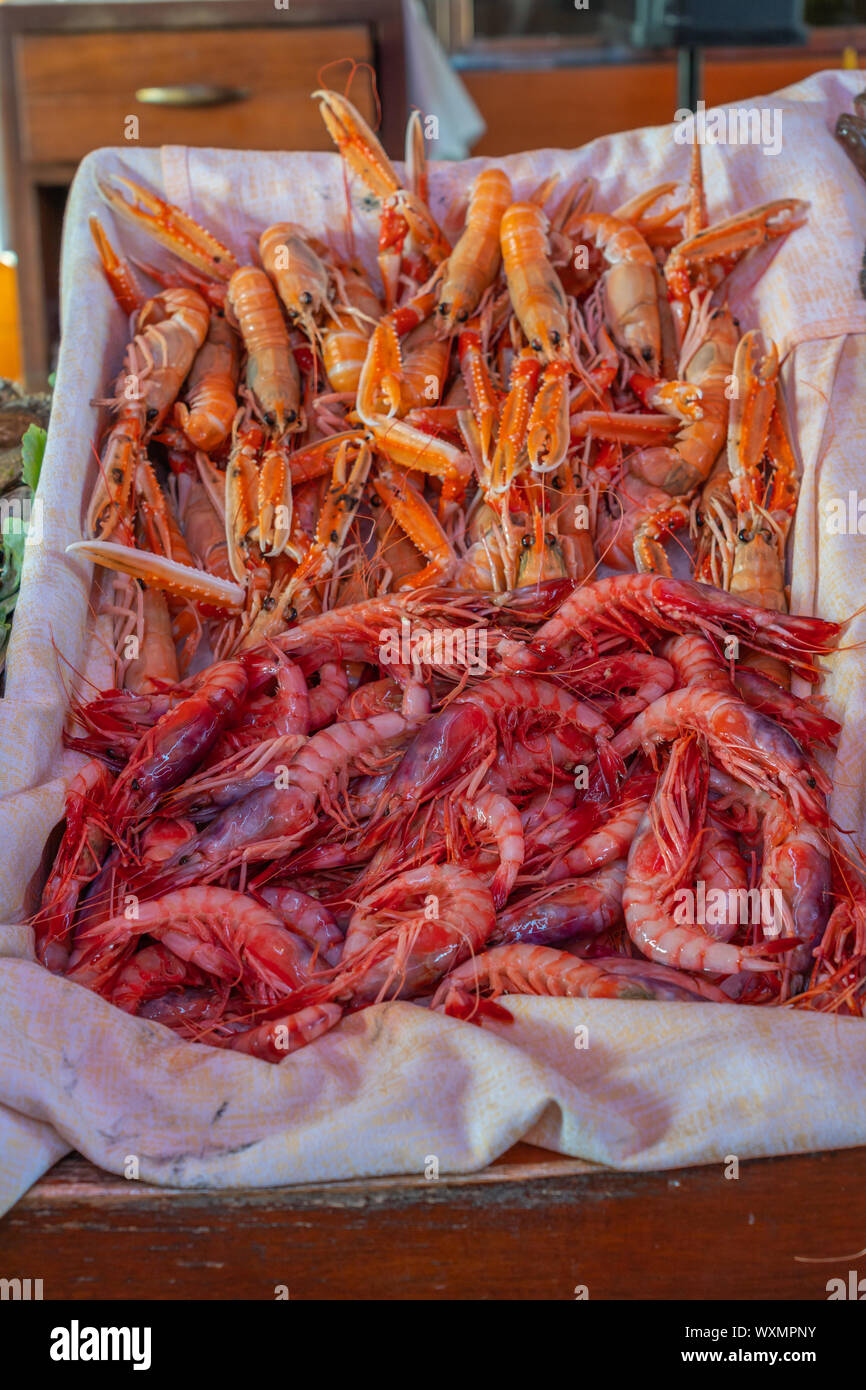 Crayfish Vs Shrimp