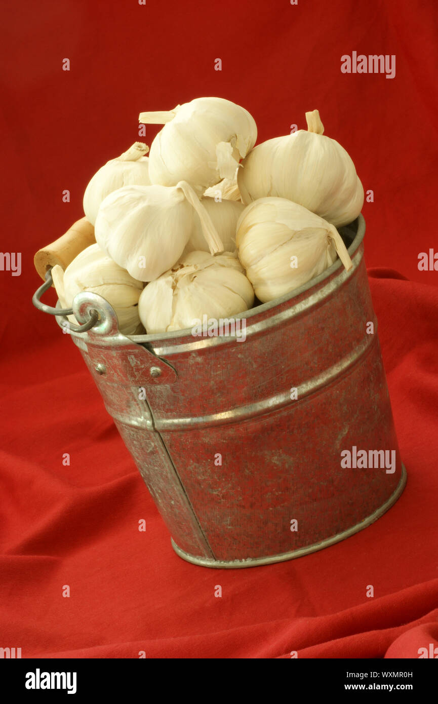 some fresh organic garlic in a bucket Stock Photo - Alamy