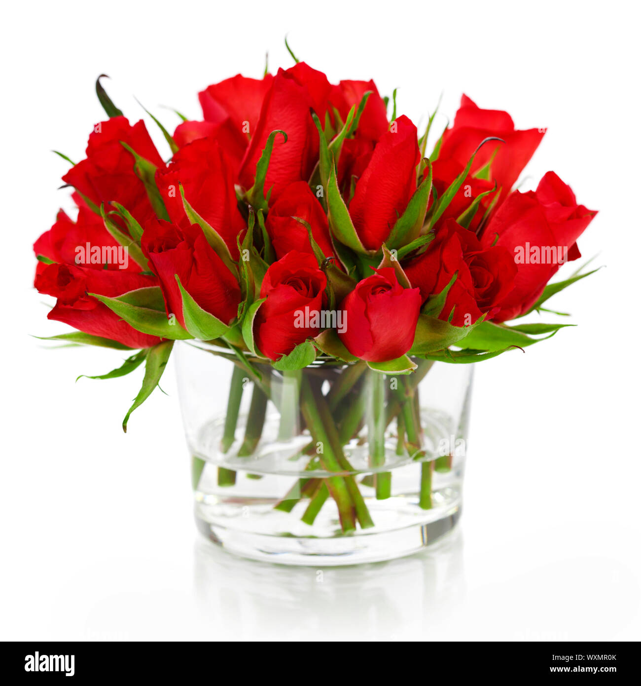 Beautiful red roses in a vase isolated on white Stock Photo - Alamy