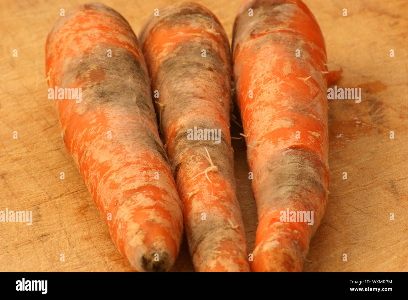 mouldy organic vegetable unhealthy to eat on a timber board Stock Photo ...