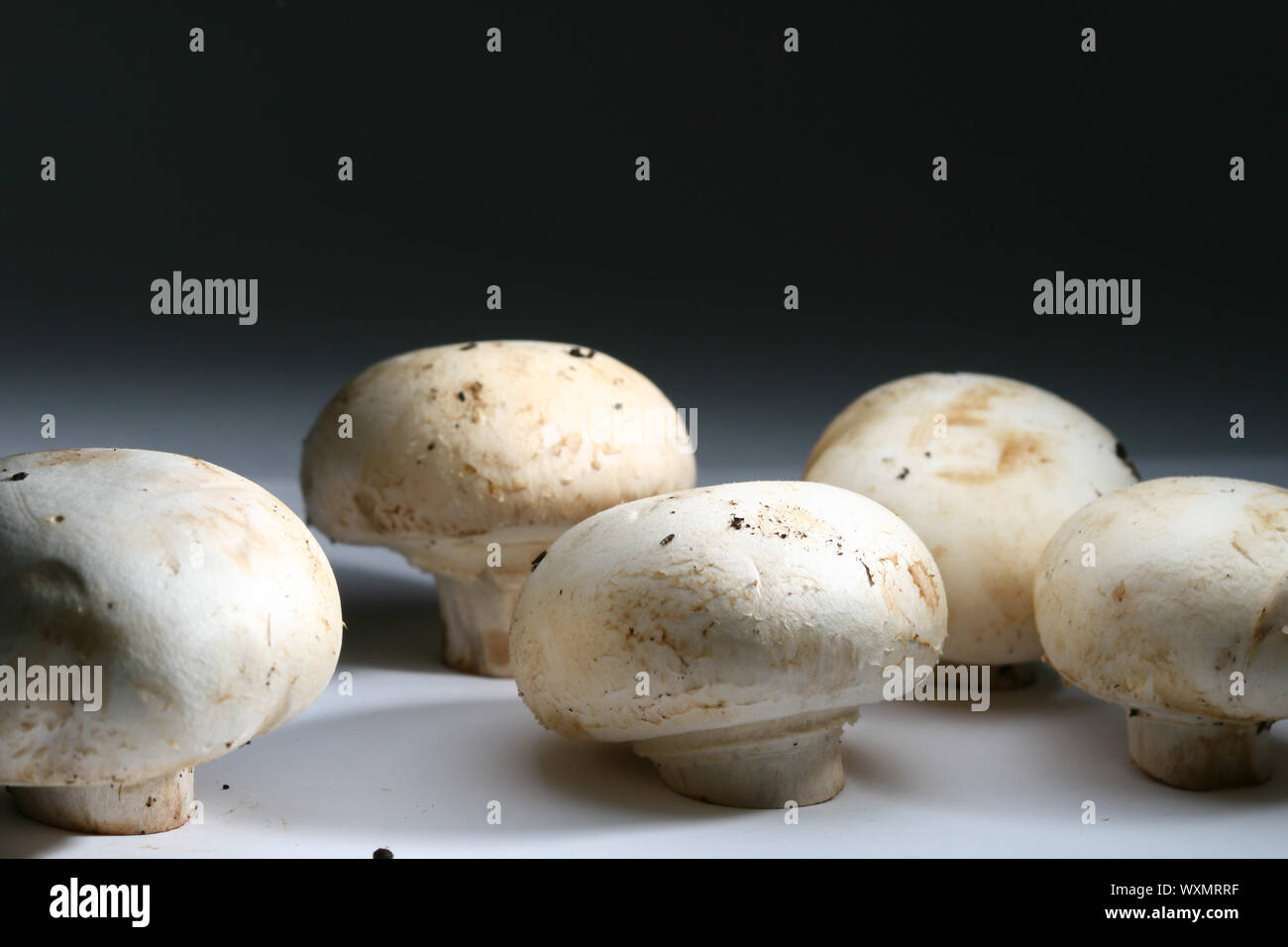 champignon close up food bacground Stock Photo - Alamy