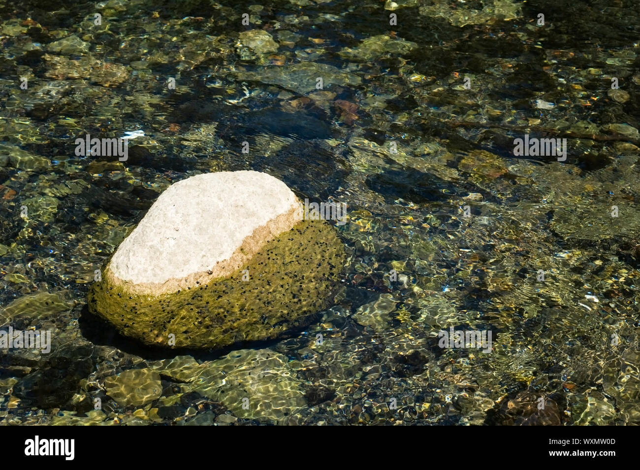 River. crystal water Stock Photo - Alamy