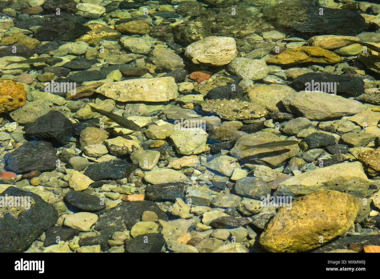 River. crystal water Stock Photo - Alamy
