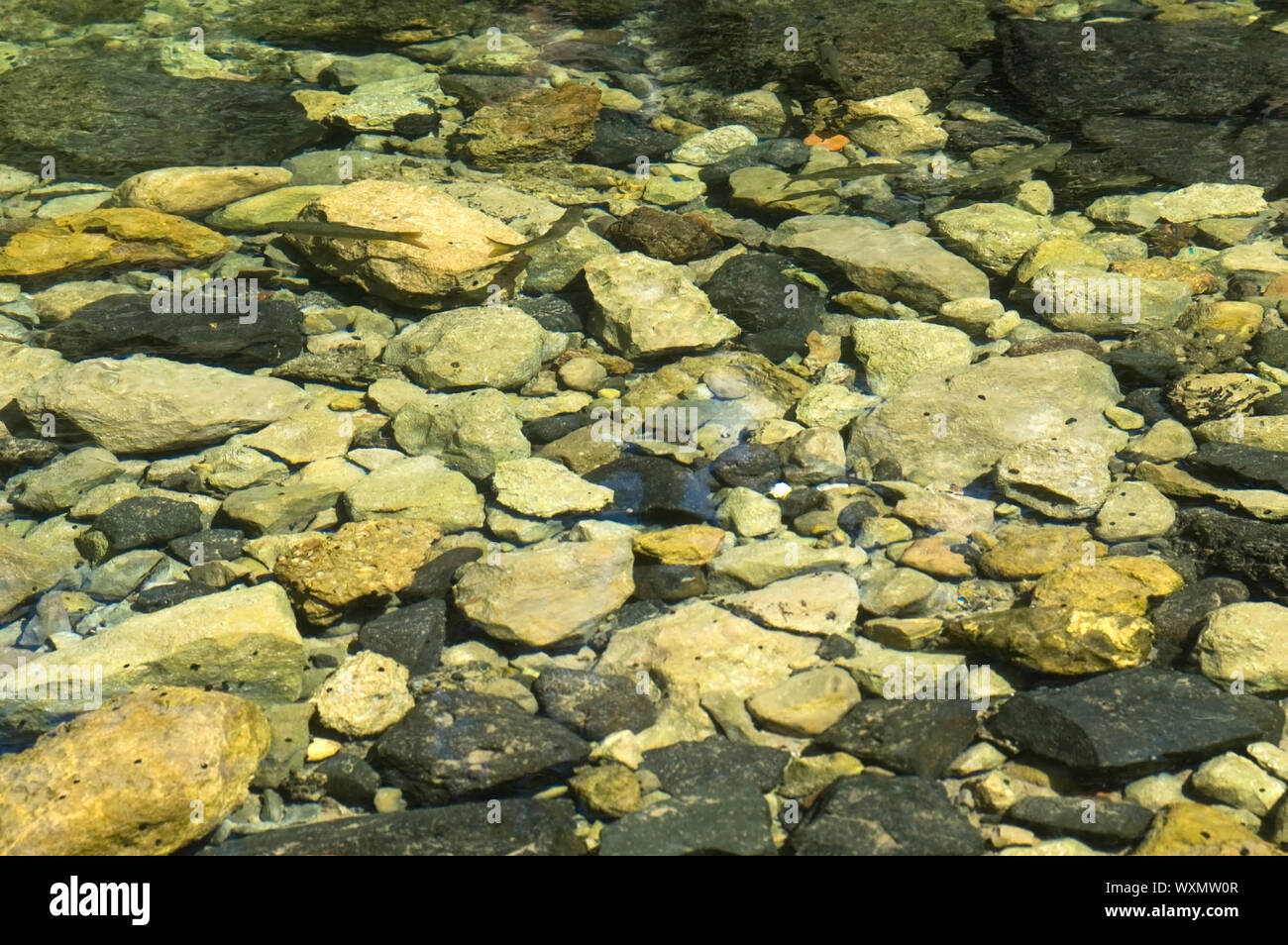 River. crystal water Stock Photo - Alamy