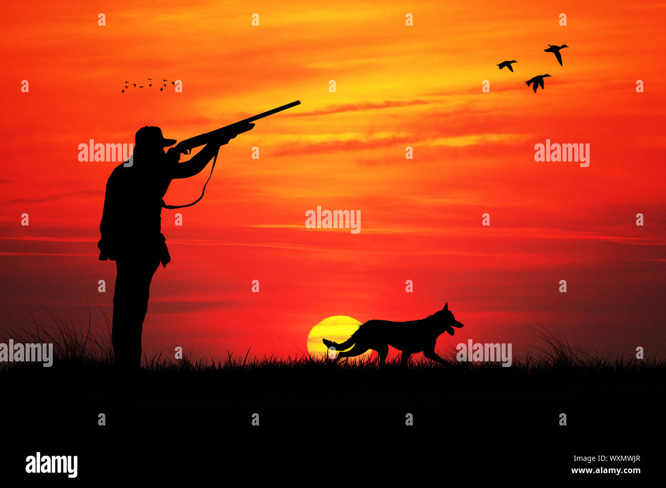 hunting at sunset Stock Photo - Alamy