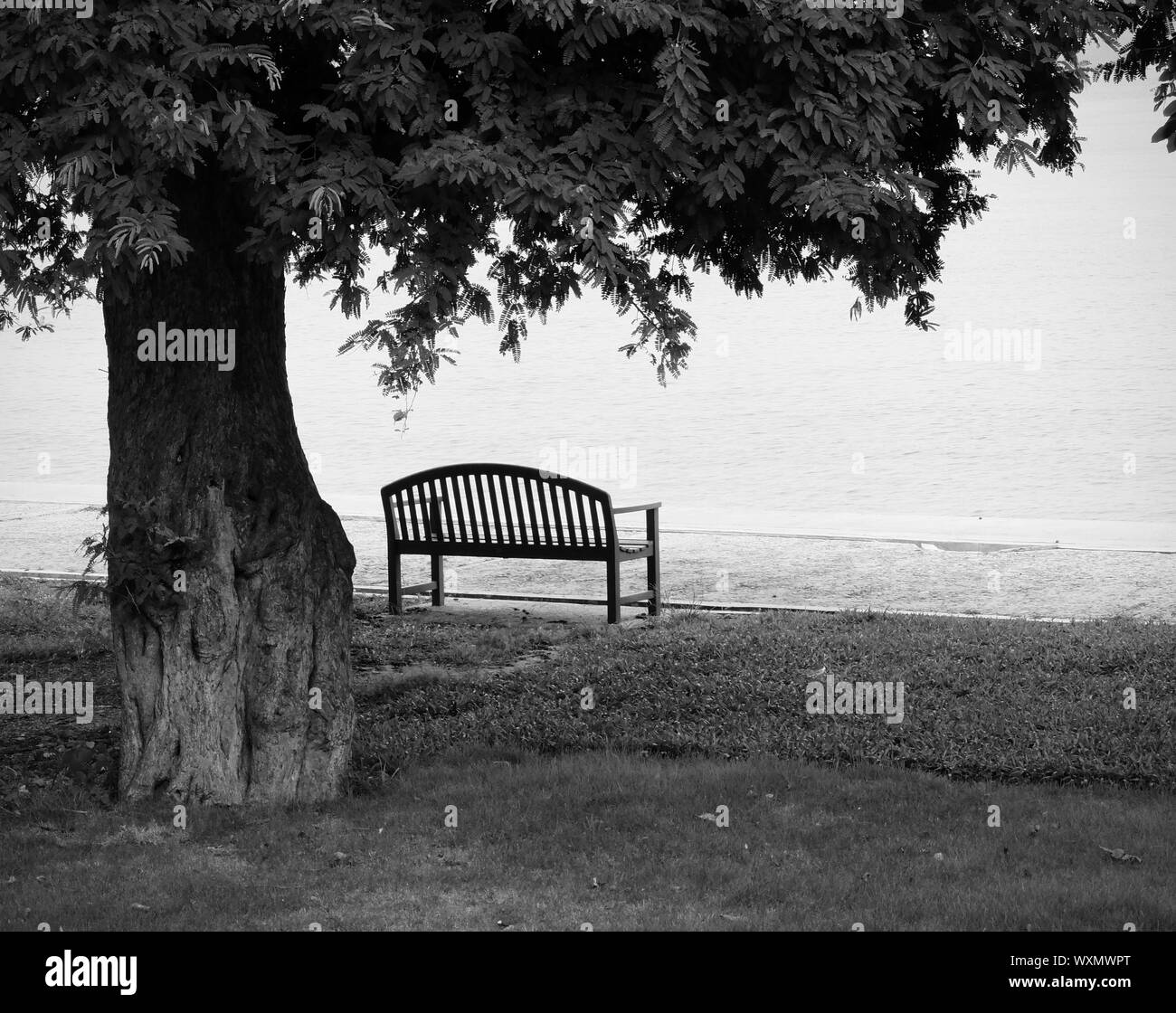 Lonely park bench in black and white Stock Photo - Alamy